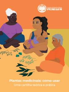 Plantas medicinais: como usar - Instituto de Referência Negra Peregum